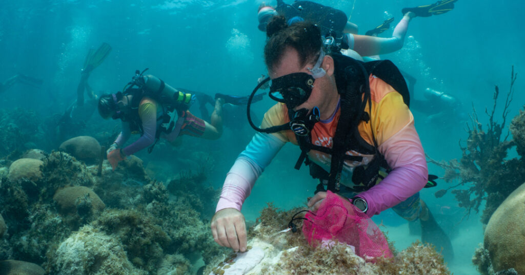 Why it Matters: Coral Restoration - Coral Restoration Foundation